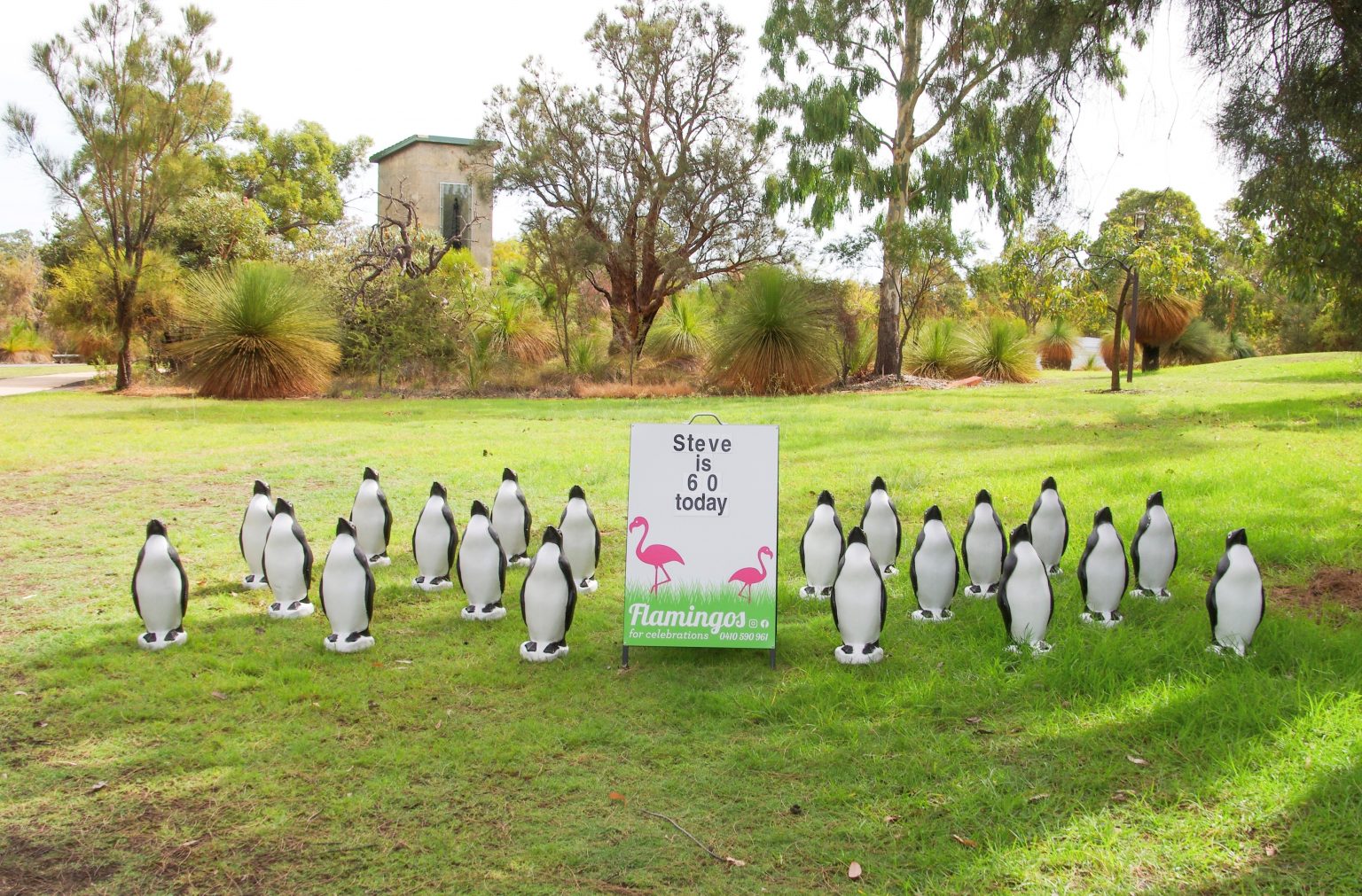 Flamingos for Celebrations » Penguin Displays